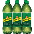 Schweppes Ginger Ale Soda, .5 L bottles, 6 pack - Walmart.com
