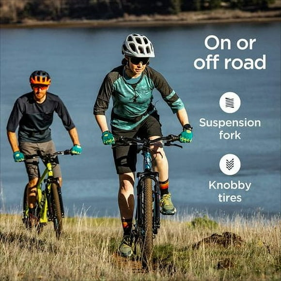 Schwinn 29 Inch Mountain Bike