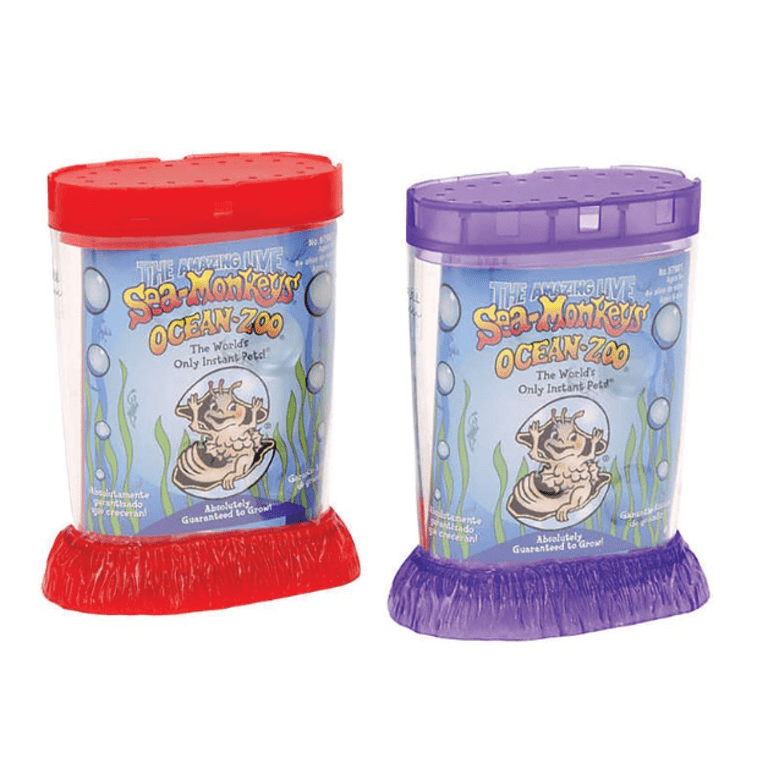 Sea Monkeys Kit Walmart