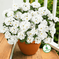 Scidweet Artificial Hanging Flowers, 12 Pcs Fake Flowers Faux Plants ...