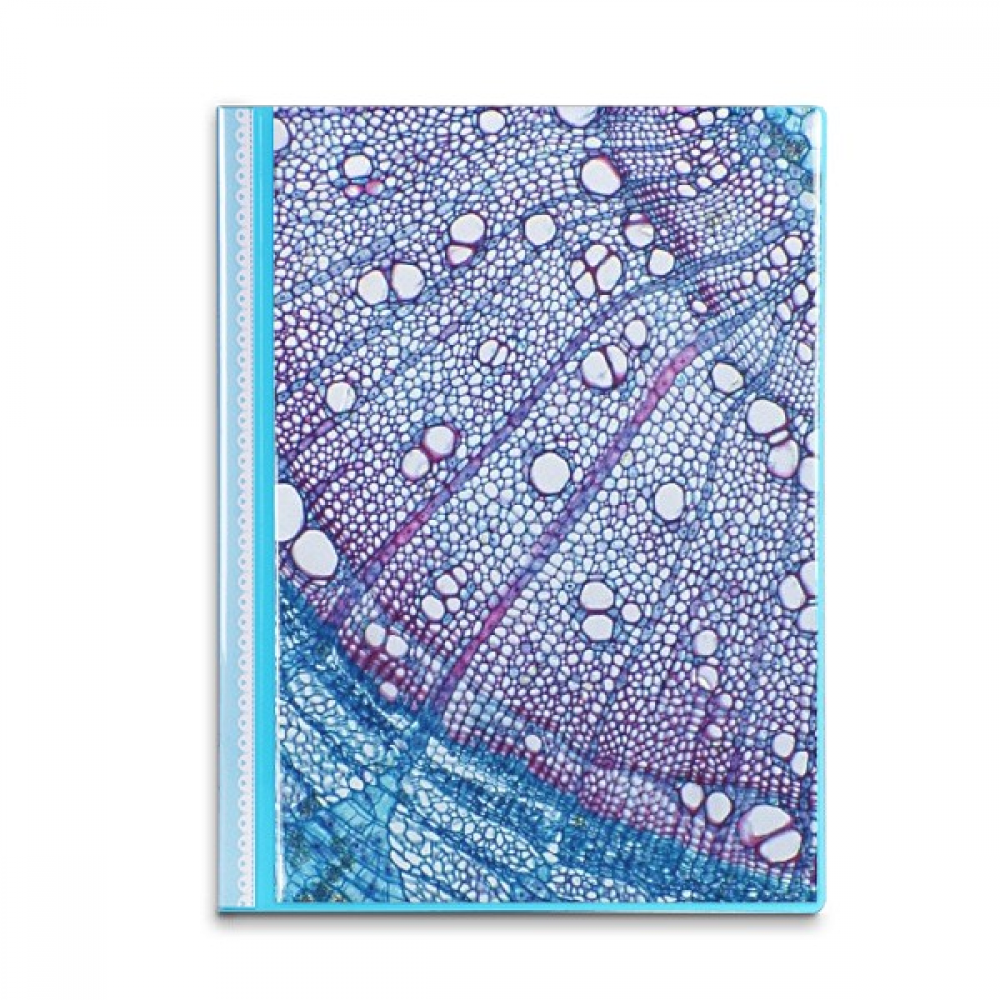 Science Blue Cell Pattern Book Sheet Protectors Portfolio Binder Folder ...