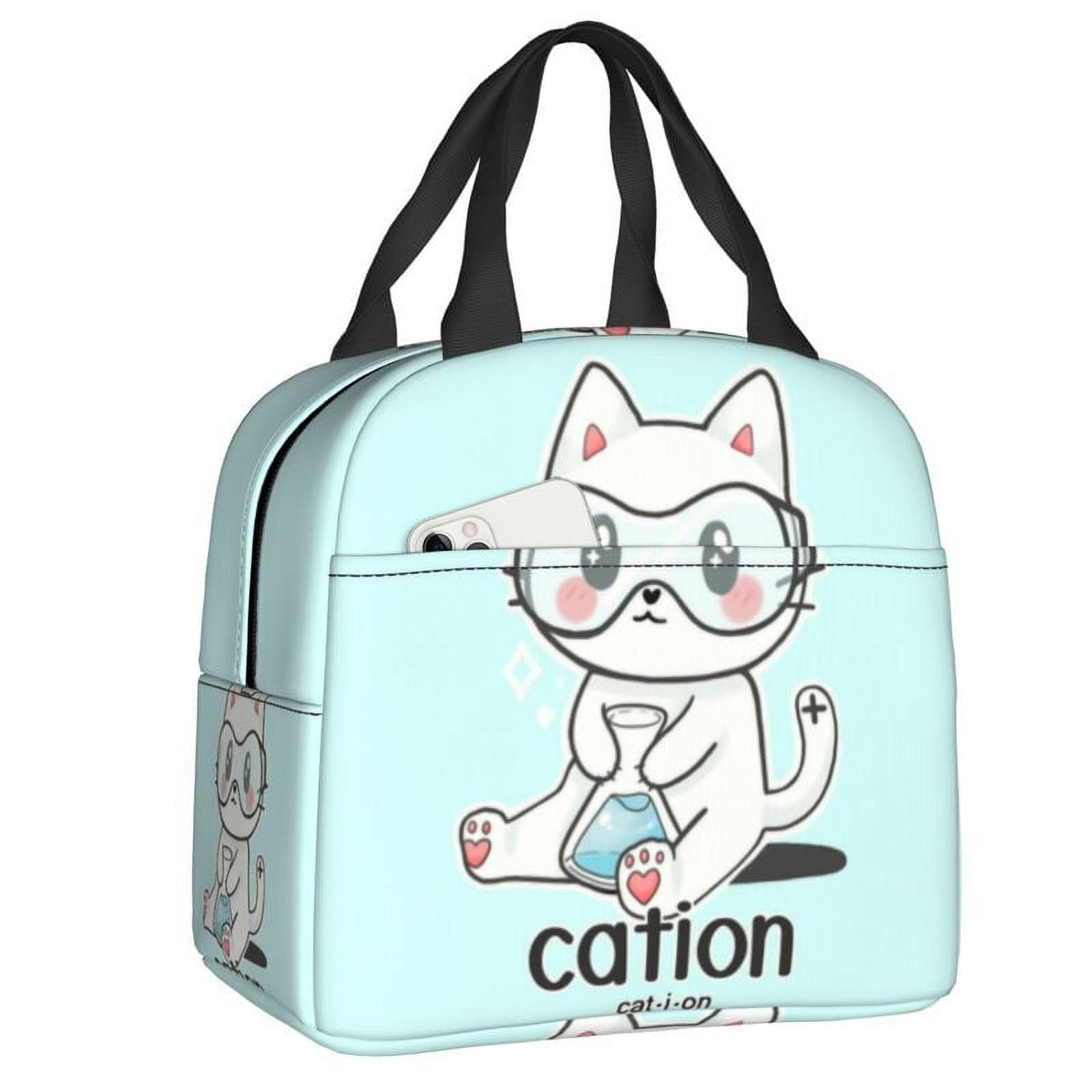 Science Chemistry Laboratory Portable Lunch Box Chemical Biology ...