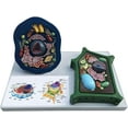 Science Classroom Anatomy Model: Animal and Plant Cell Model, Cell ...