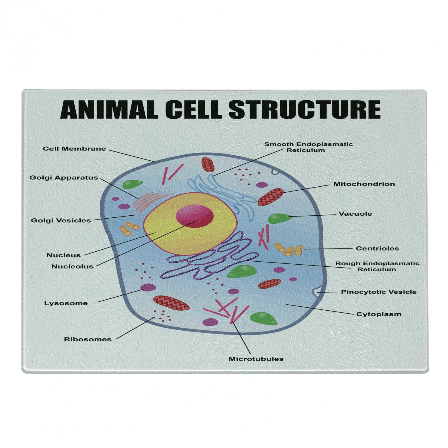 Science Cutting Board, Microbiology Theme Animal Cell Structure Genetic ...