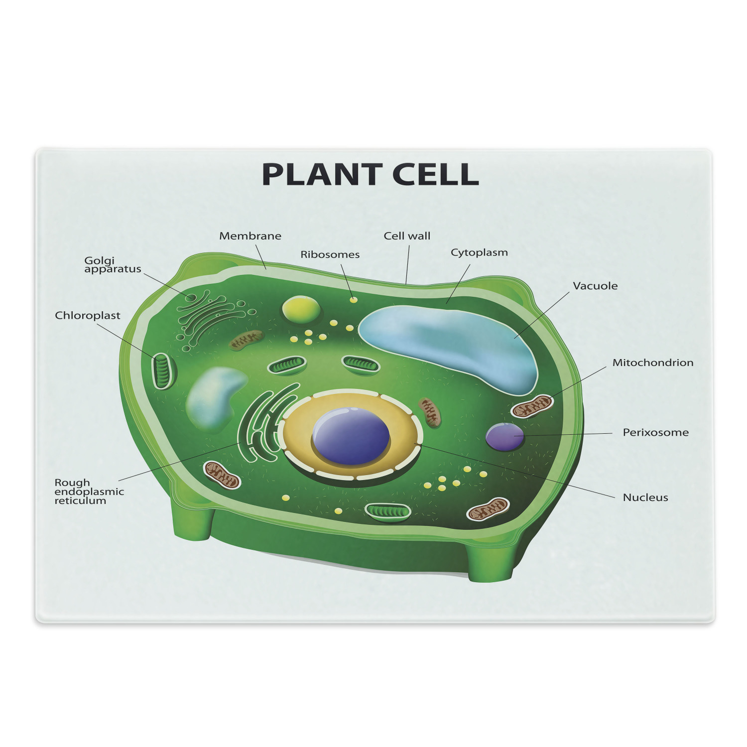 Science Cutting Board, Plant Cell Biology Research Botany Anatomy ...