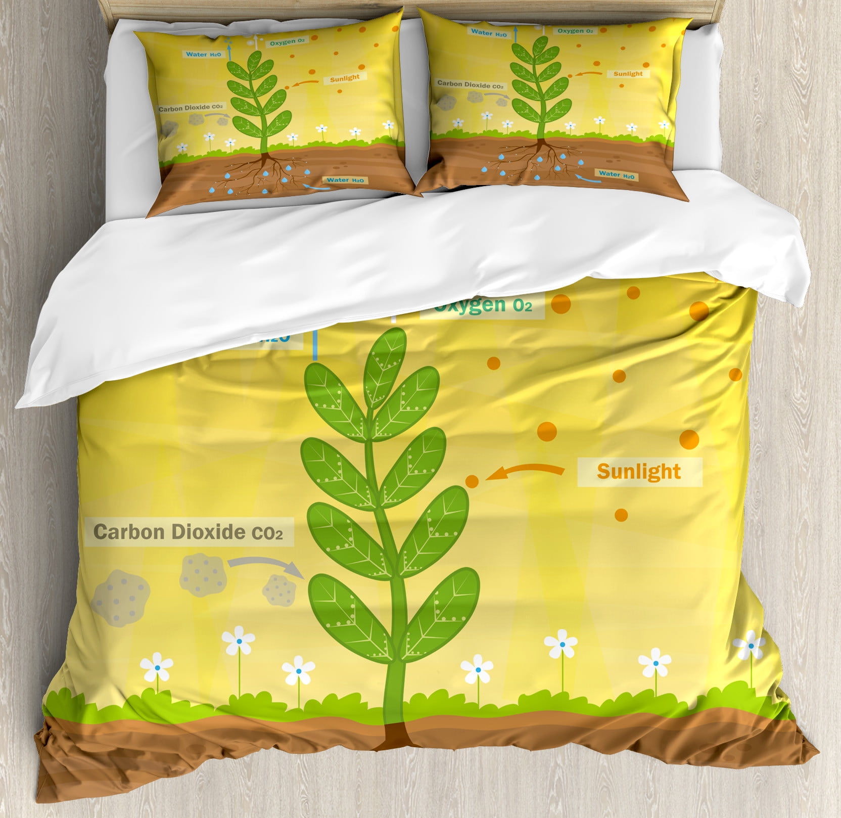 Science Duvet Cover Set, Cartoon Photosynthesis Oxygen Carbon Dioxide ...