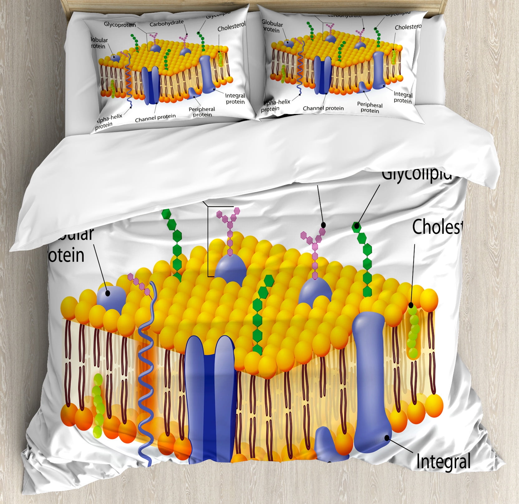 Science Duvet Cover Set, Detailed Diagram of Membrane Cell Structure ...