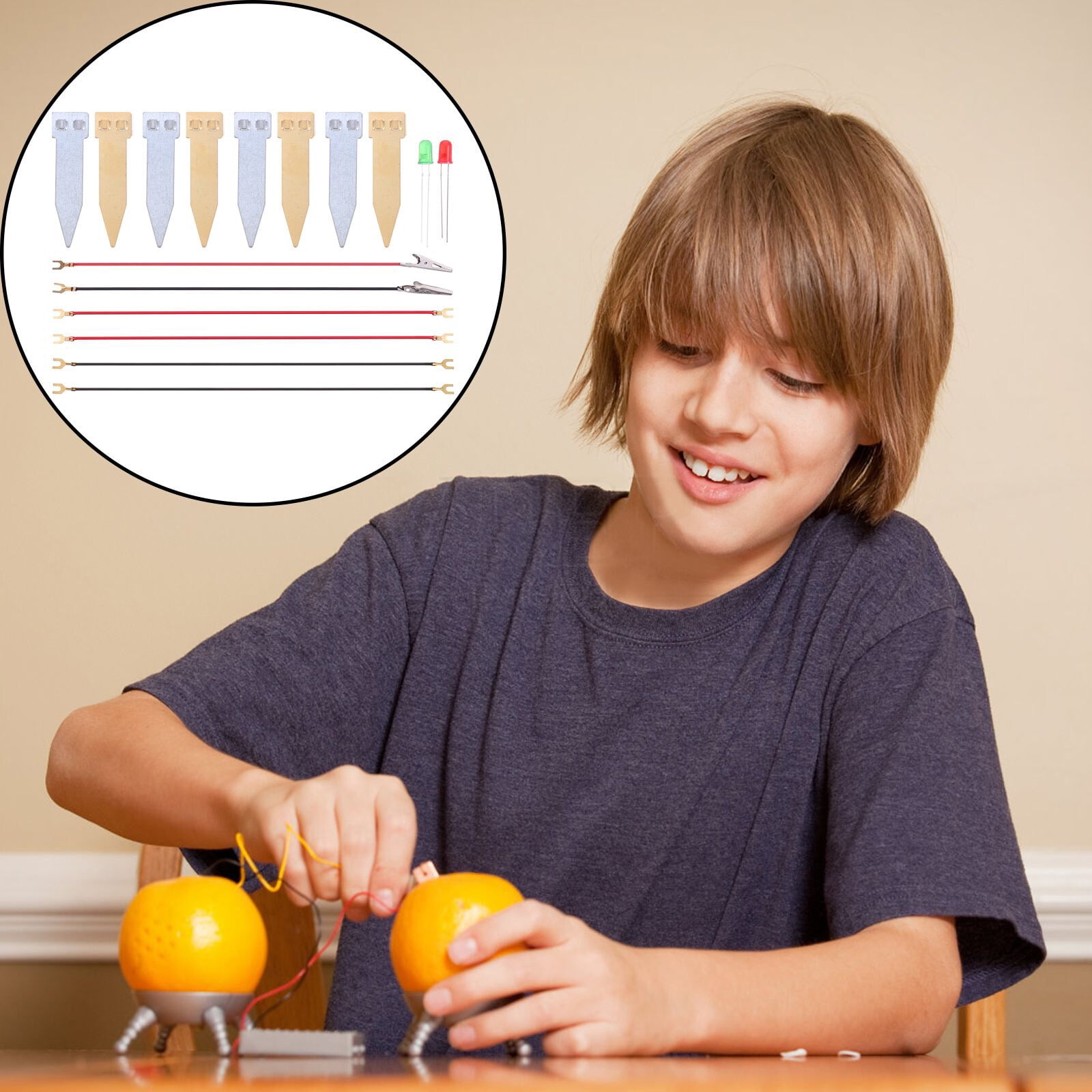 SEWCHICS Children's Science Kits Assorted Color Zinc 2 Sets 1.6x0.5in ...