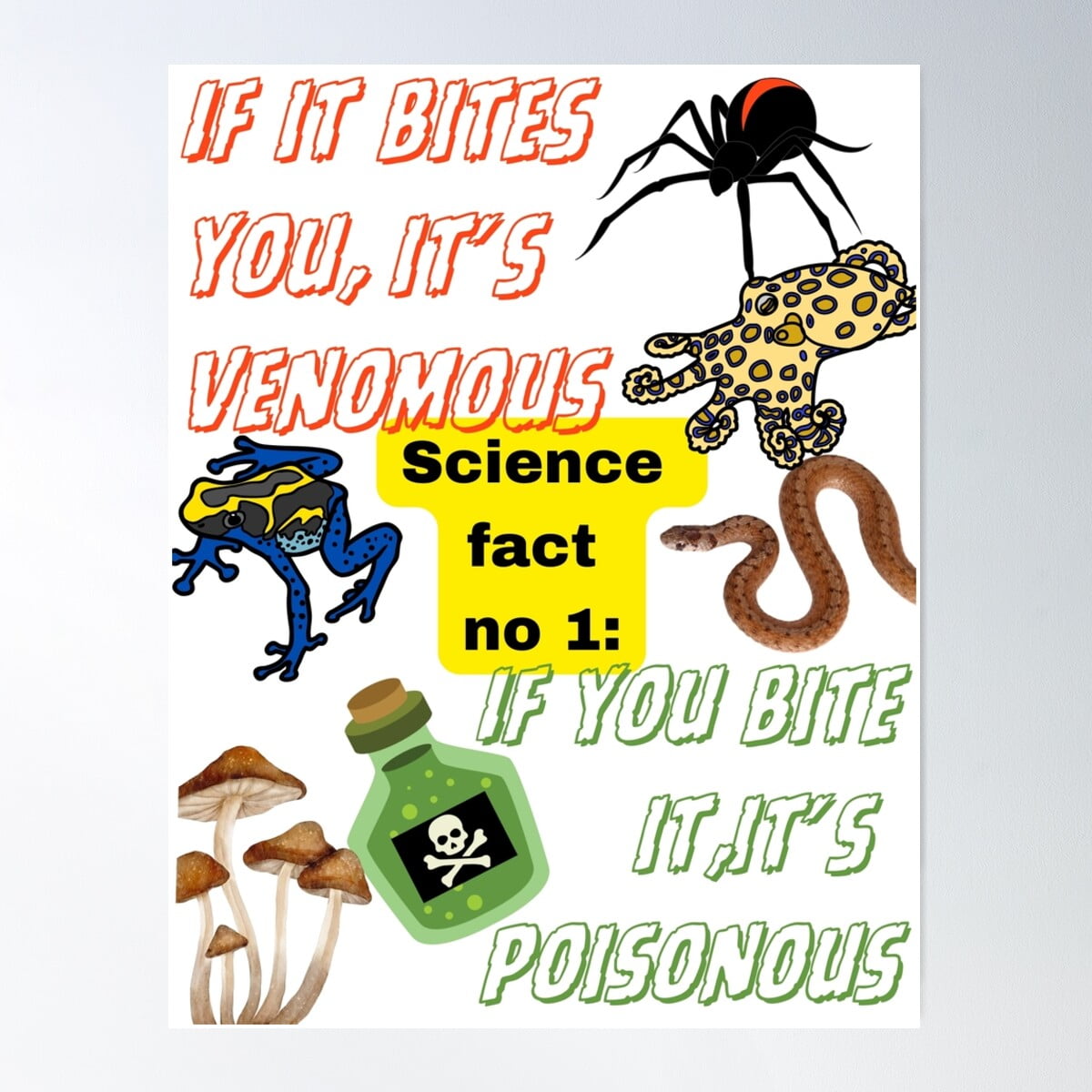 Science Fact No 1, Science Facts, Venomous, Poisonous, Educational ...