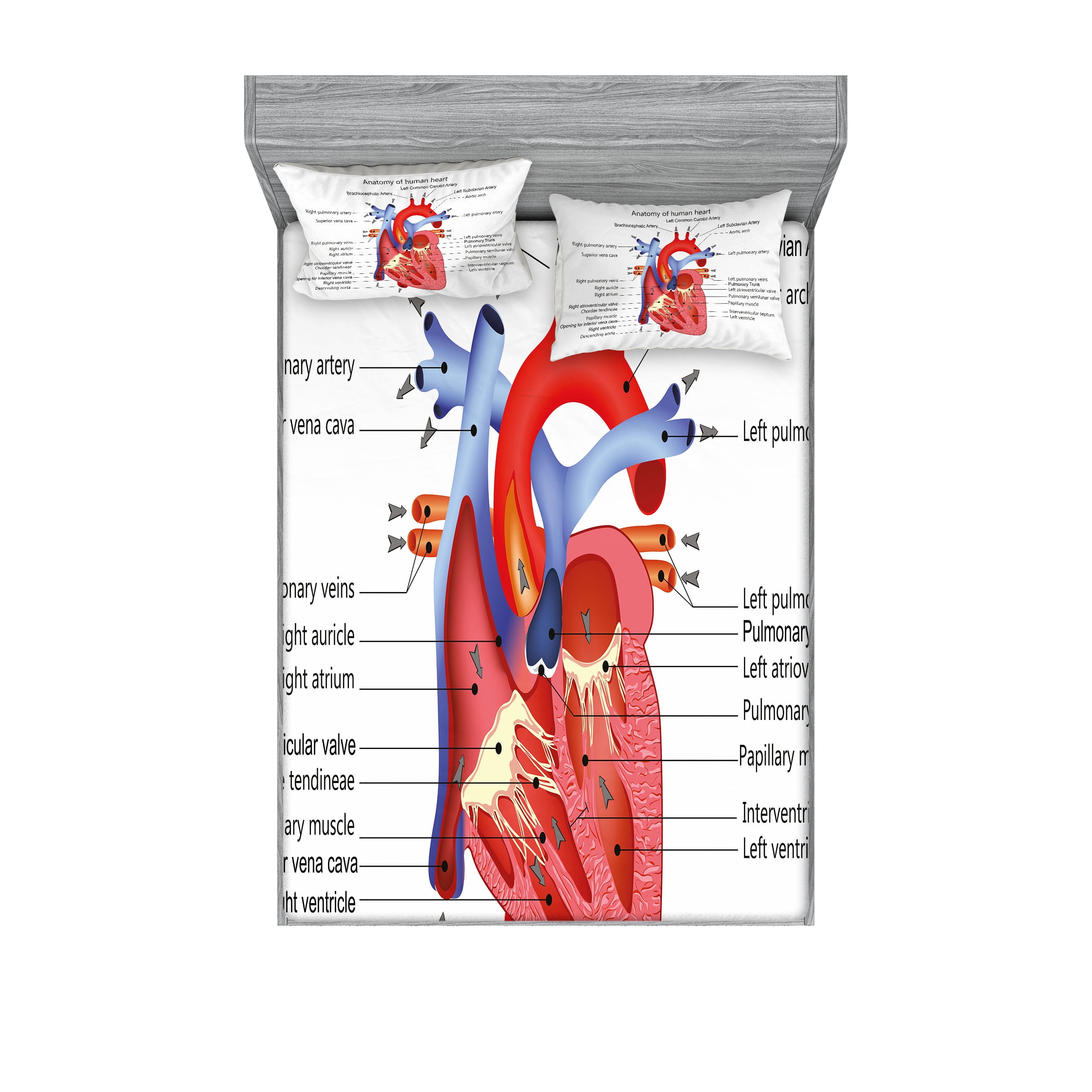 Science Fitted Sheet & Pillow Sham Set, Structure of the Heart Human ...
