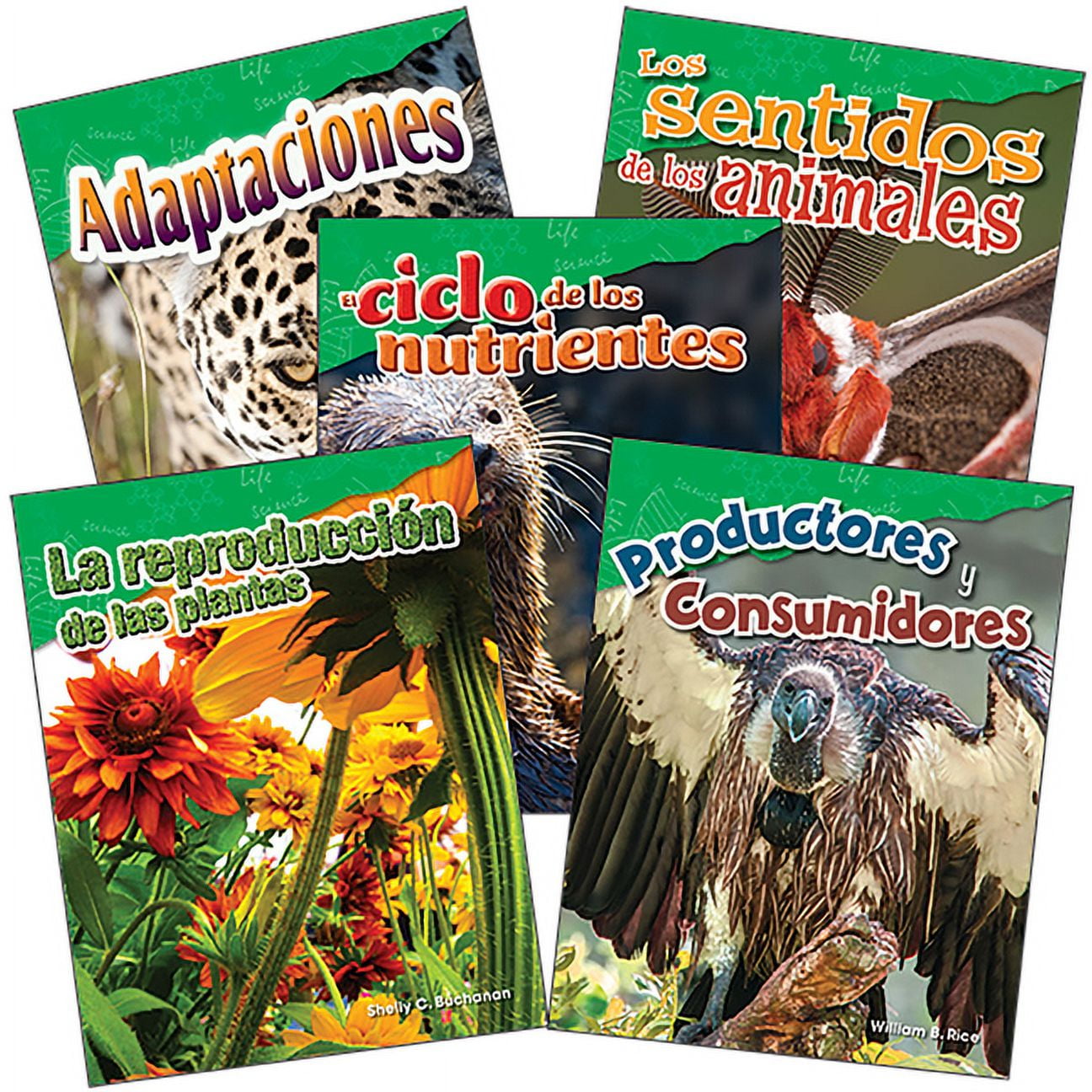 Science: Informational Text: Life Science Grade 4 Spanish: 5-Book Set ...