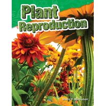 STEM Starters for Kids: STEM Starters for Kids Botany Activity Book ...