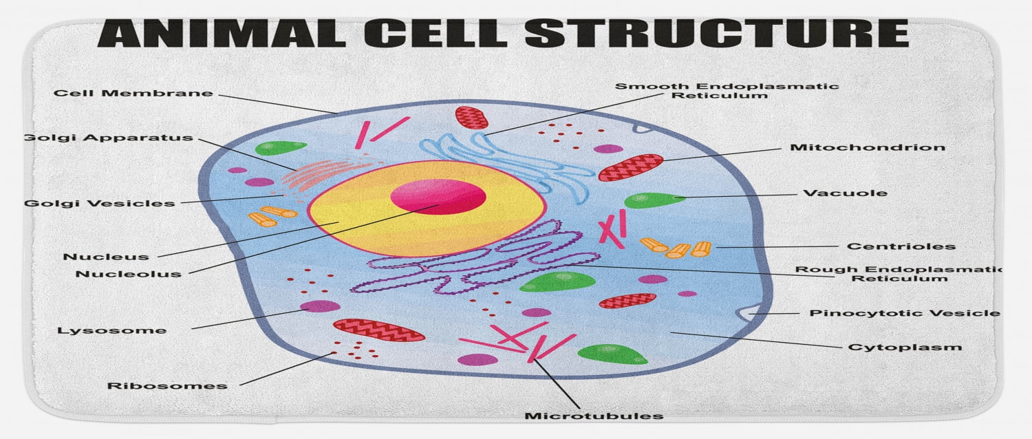 Science Kitchen Mat, Microbiology Theme Animal Cell Structure Genetic ...
