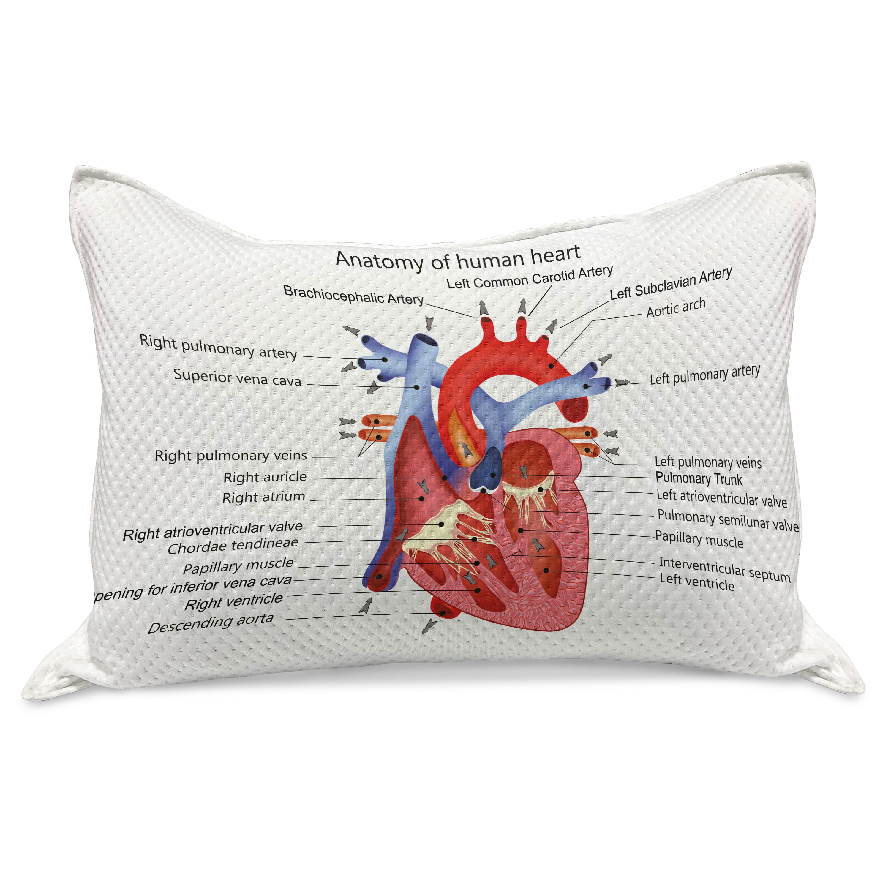 Science Knitted Quilt Pillowcover, Structure of the Heart Human Body ...