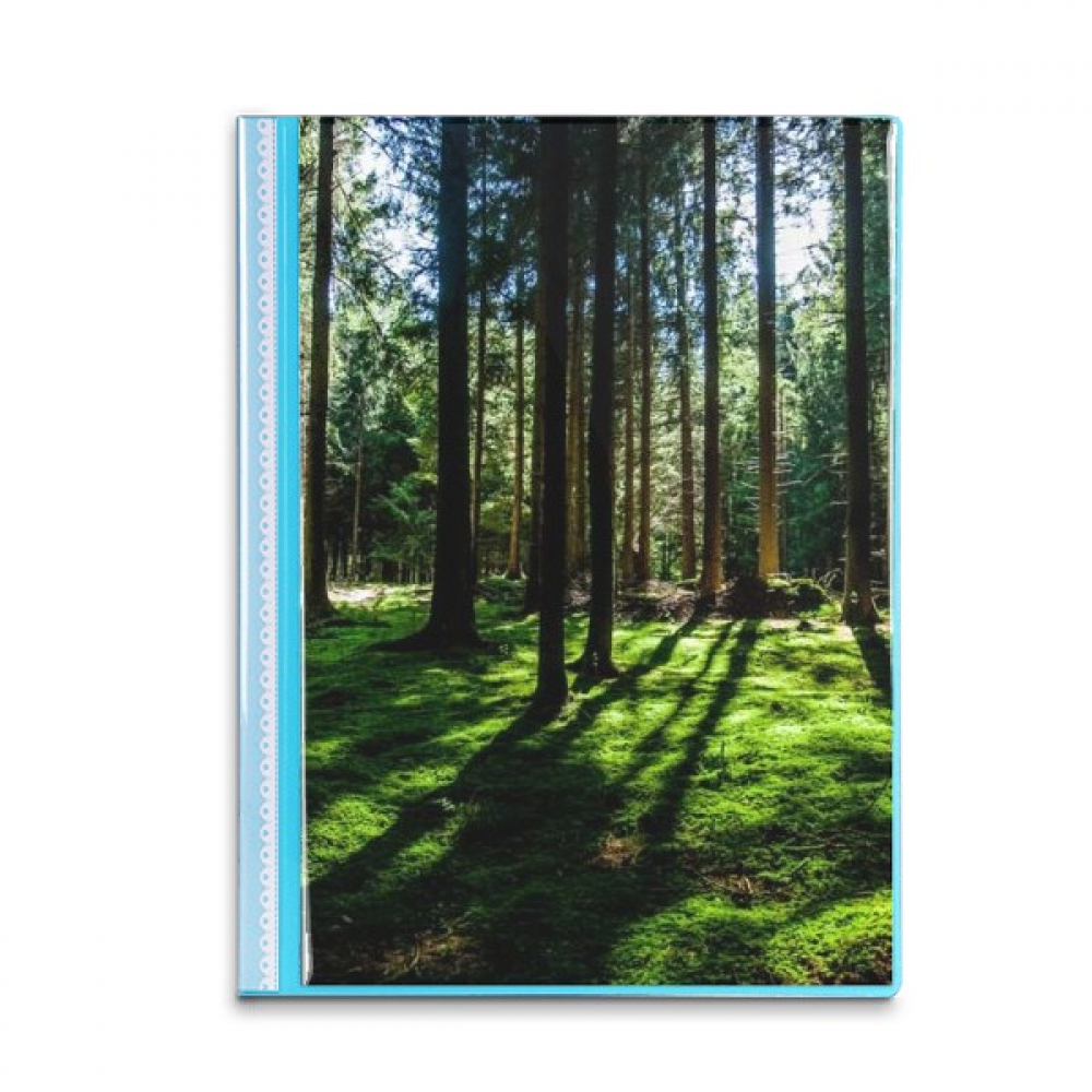 Science Nature Scenery Forestry Green Book Sheet Protectors Portfolio ...