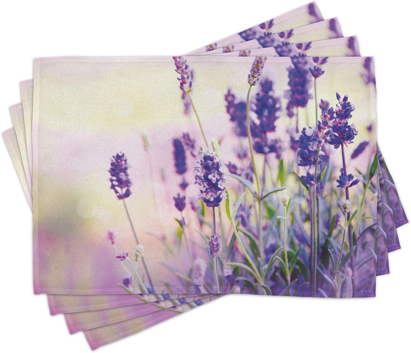 Science Place Mats Set of 4, Science Theme Hand Drawn Style Chemistry ...