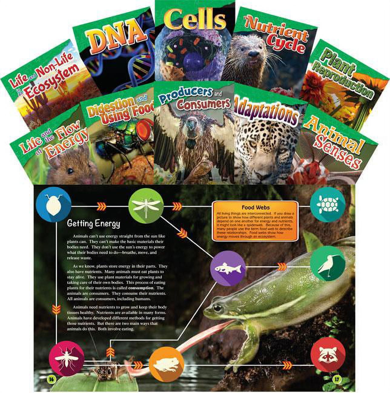 Science Readers: Let's Explore Life Science Grades 4-5, 10-Book Set ...