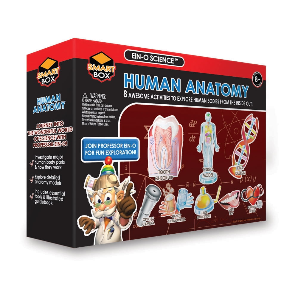 Science Smart Box - Human Anatomy - Walmart.com