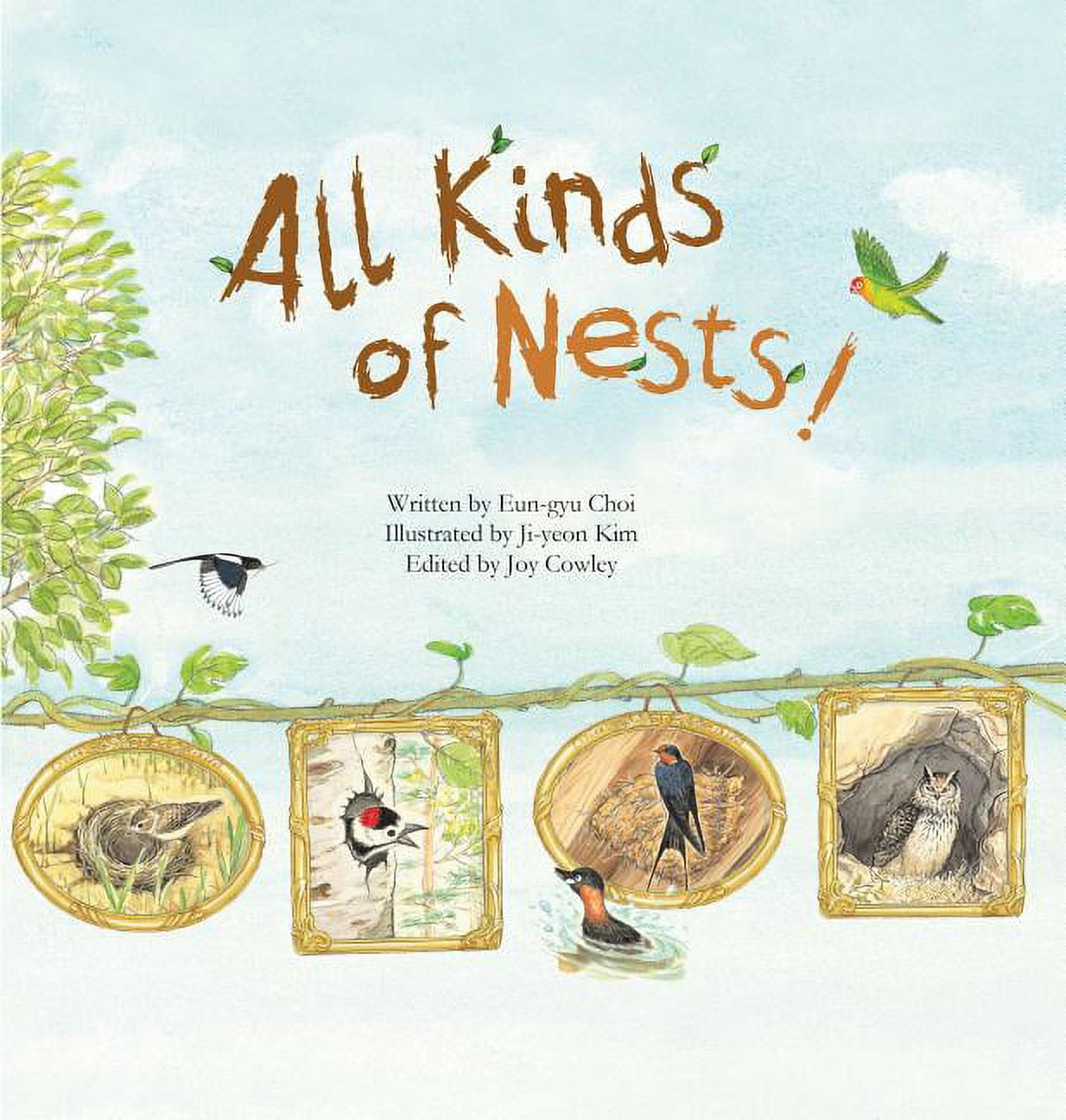 Science Storybooks: All Kinds of Nests!: Birds (Hardcover) - Walmart.com