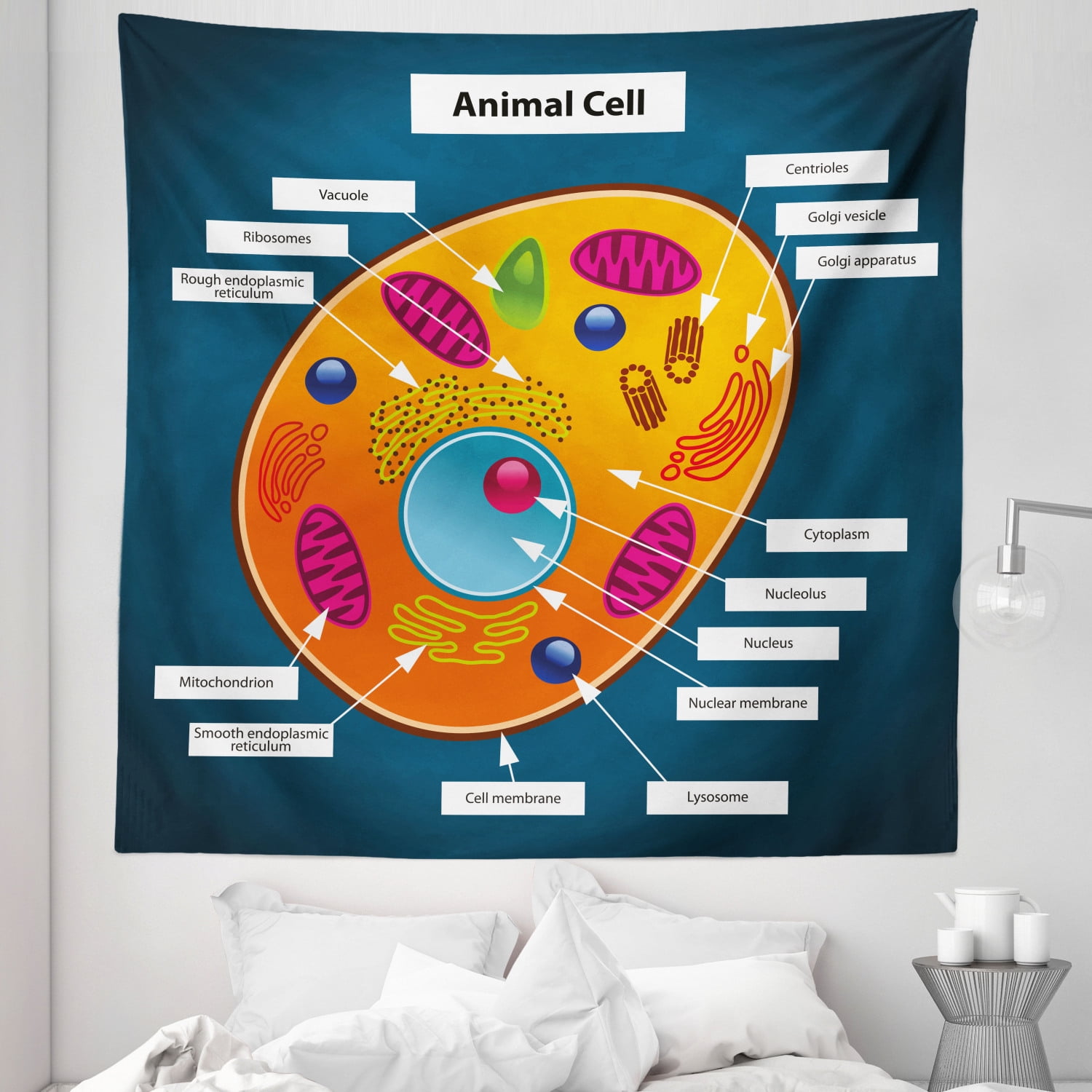 science wall display