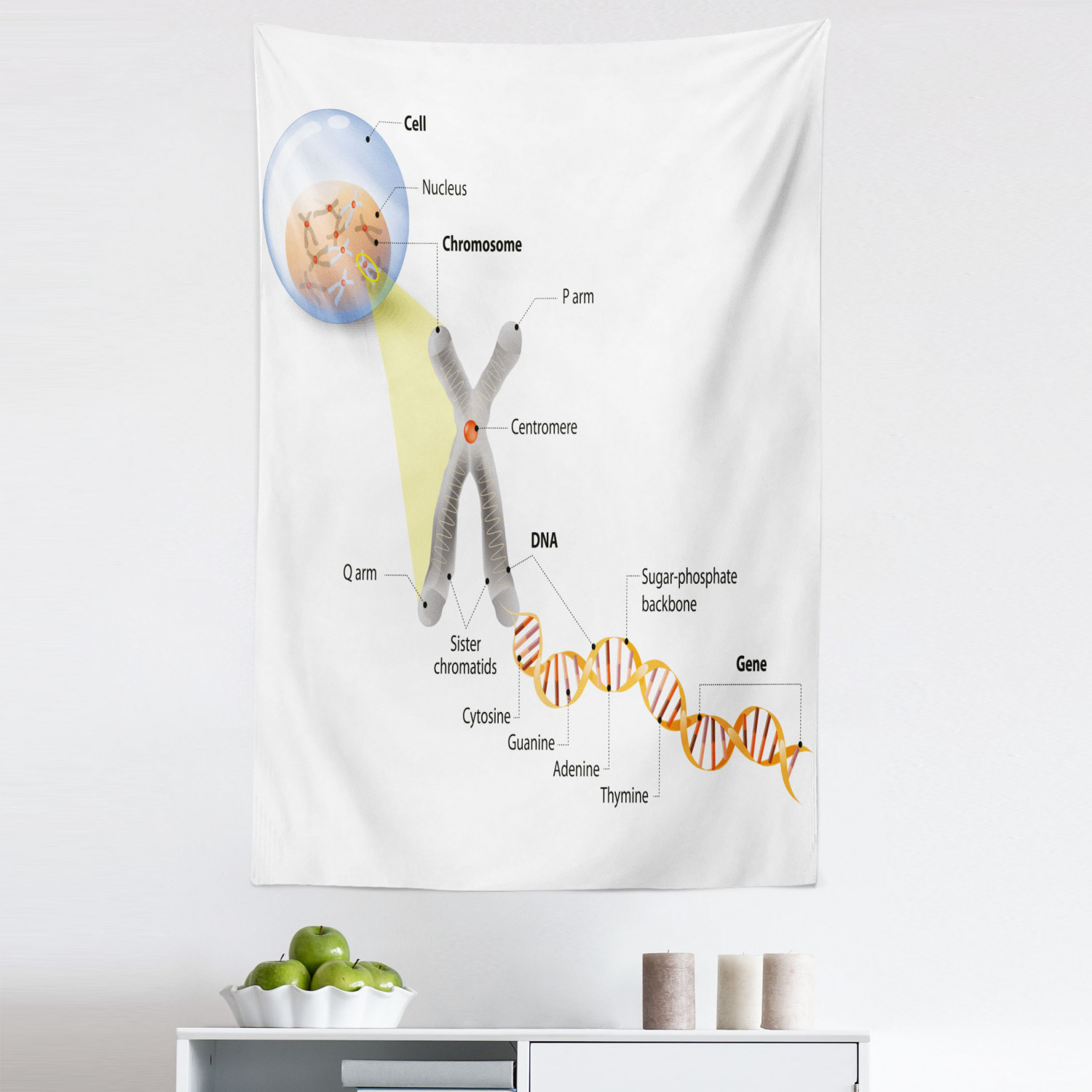 Science Tapestry, Cell Chromosome DNA Gene Genome Study Double Helix ...