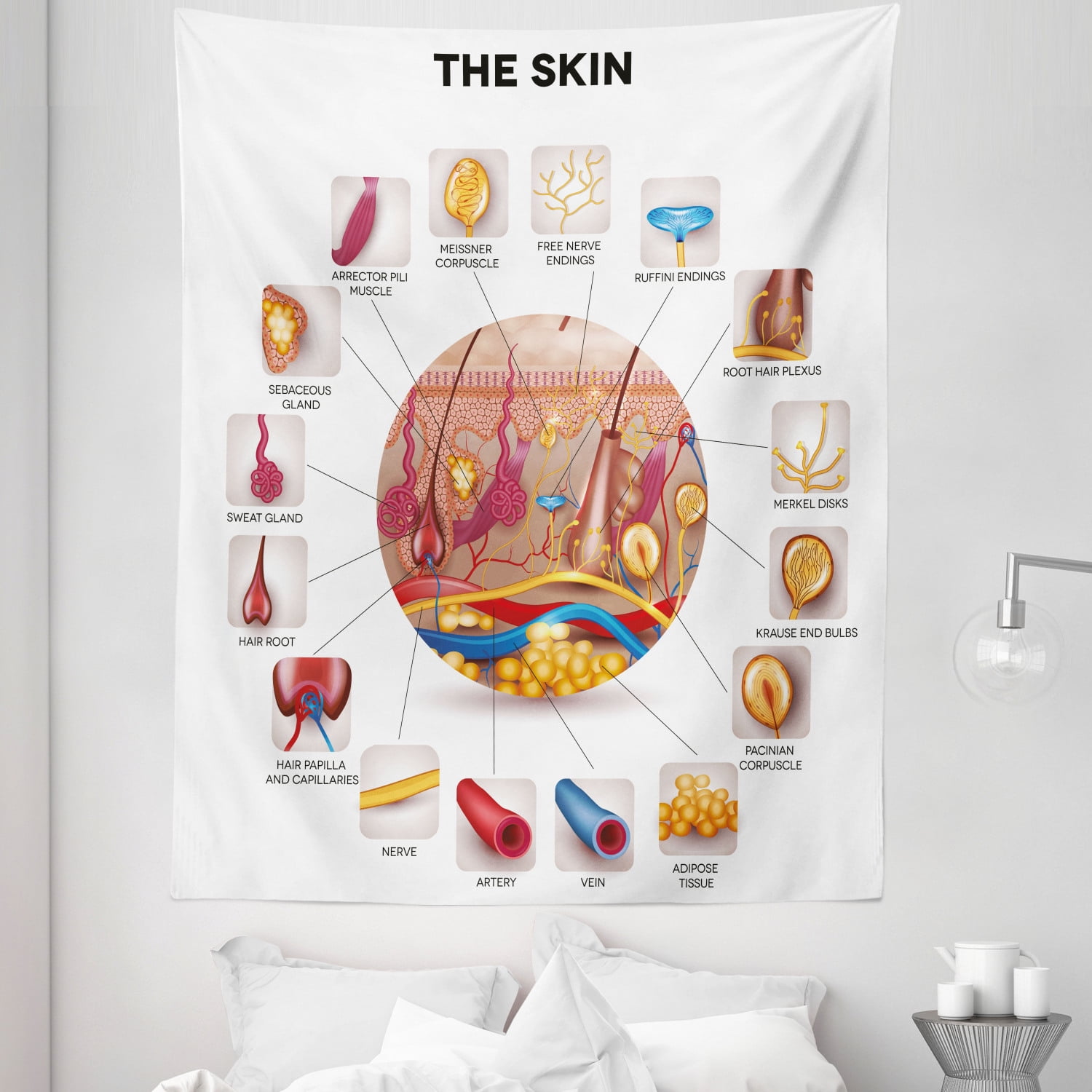 Science Tapestry, Skin Anatomy Elements in Round Shaped Diagram Pores ...