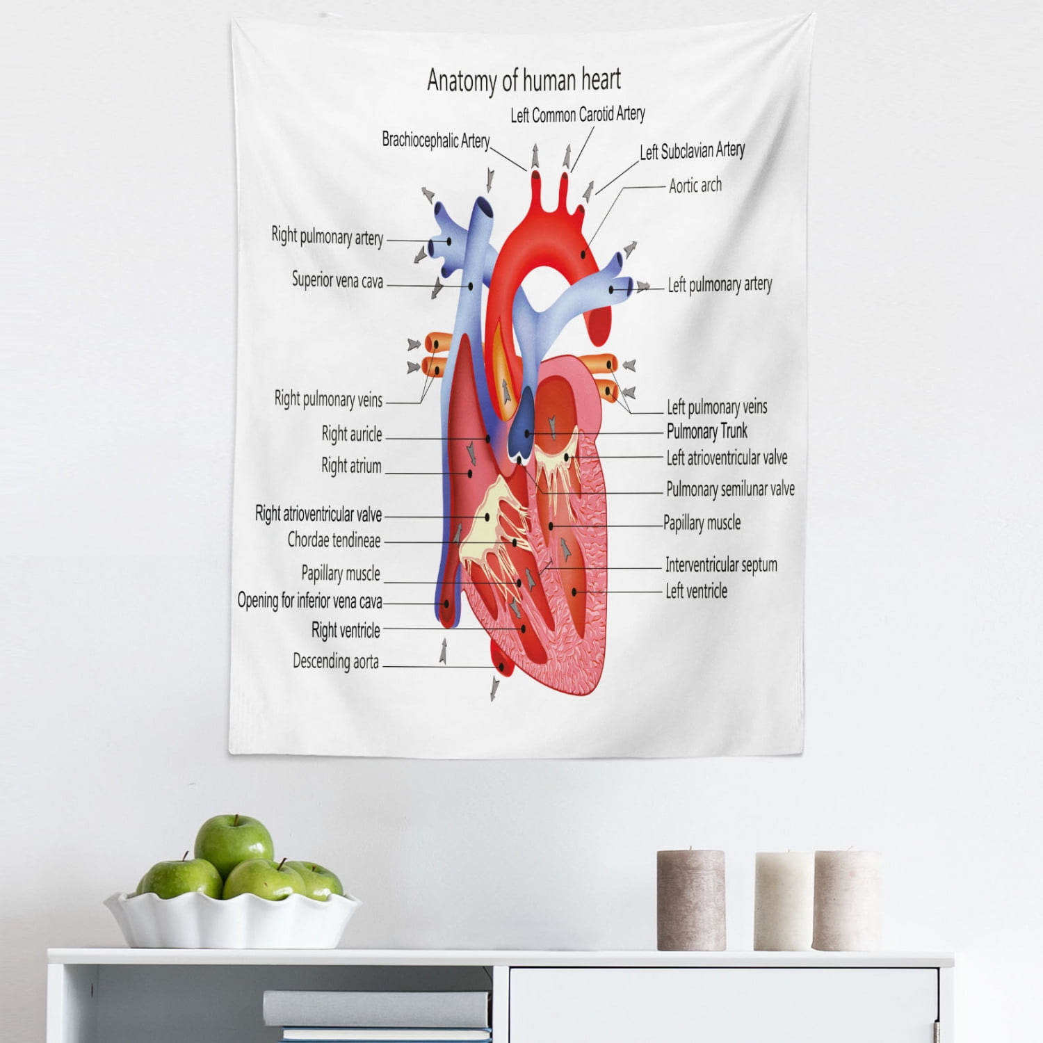 Science Tapestry, Structure of the Heart Human Body Anatomy Organ Veins ...
