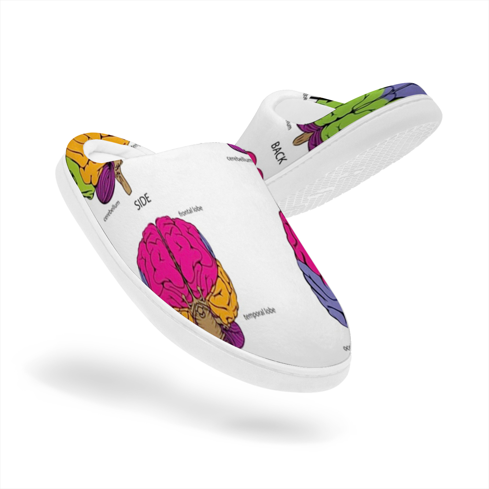 Science Theme,Womens Slippers Slip-On,Human Brain From All Sides with ...