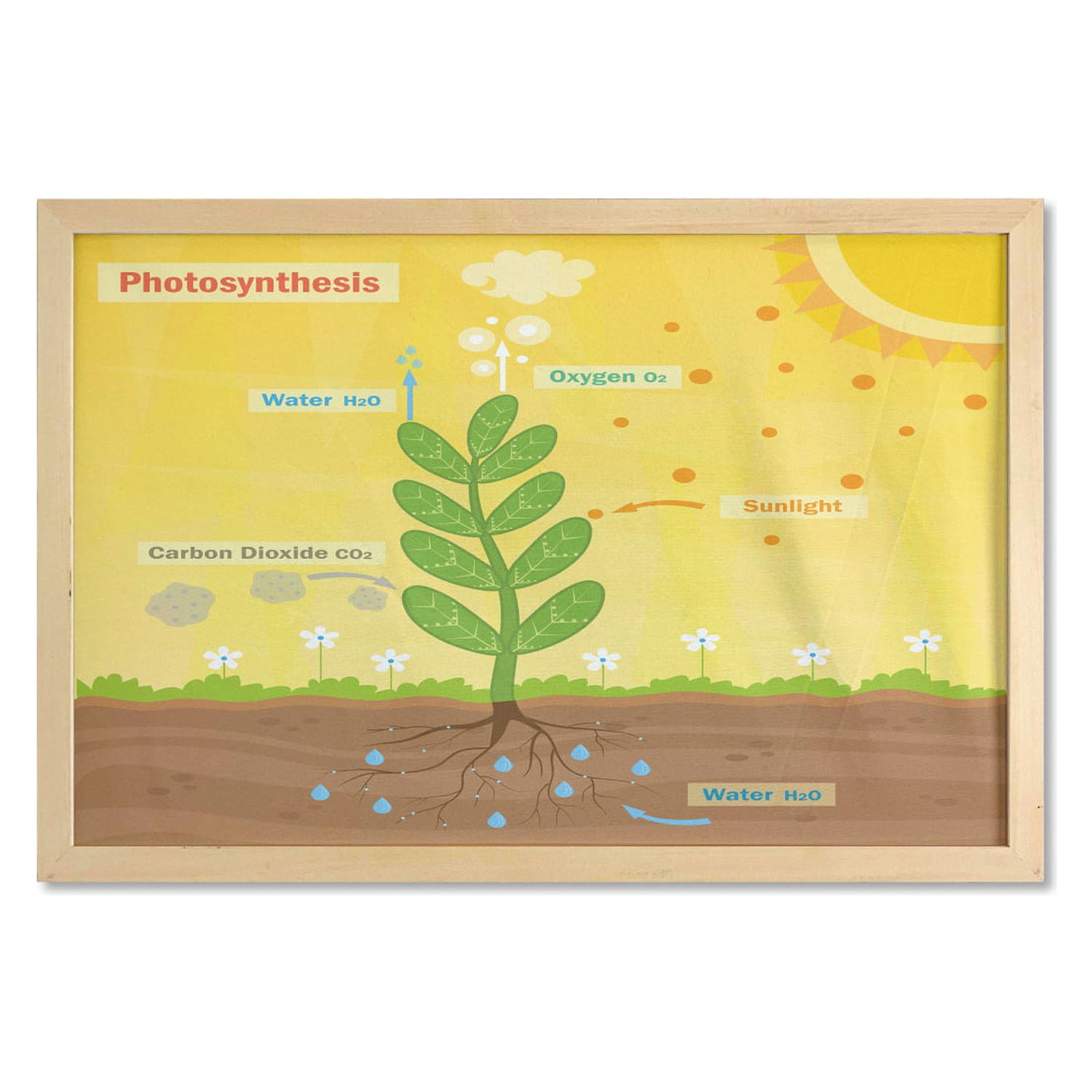Funny Photosynthesis Cartoon