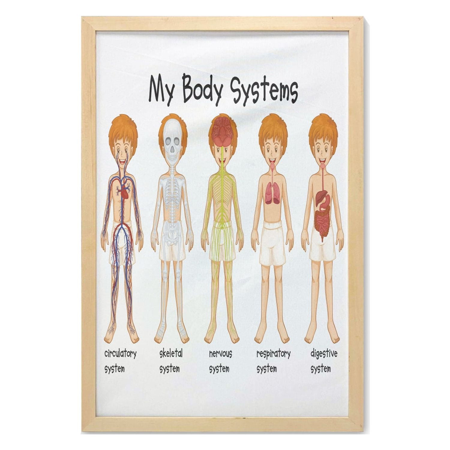 Science Wall Art with Frame, Different Systems in Human Nervous ...