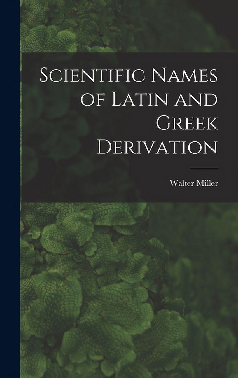 Name Derivation