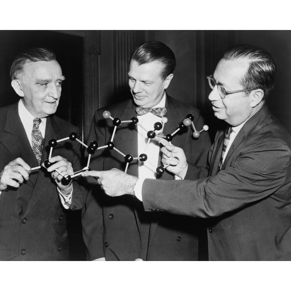 Scientists With A Model Of The Molecular Structure Of Cortisone ...