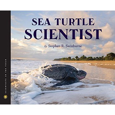Ocean Life Up Close: Sea Lions (Hardcover) - Walmart.com