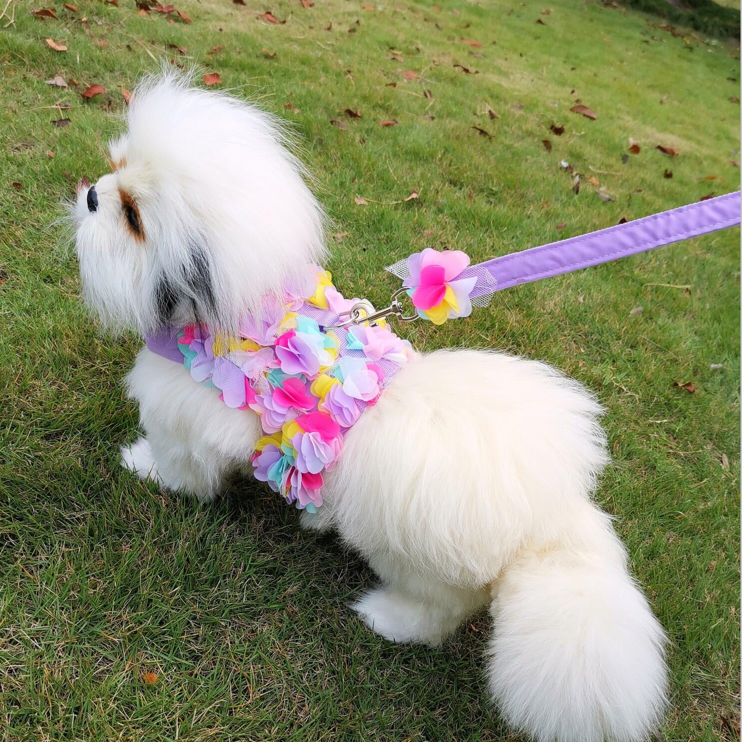 Scmkd Floral Lace Cat Vest Harness Set for Small Dogs & Cats - Walmart.com