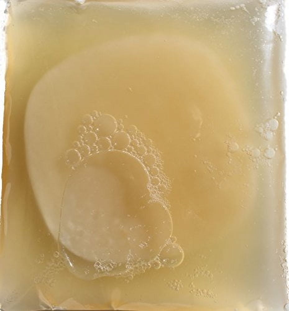 Organic Kombucha Scoby-Live Culture Starter Kit Bahrain | Ubuy