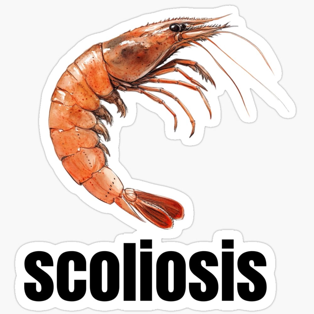 Scoliosis Shrimp Stickerphone Decal Water Bottle Stickers, Vinyl ...