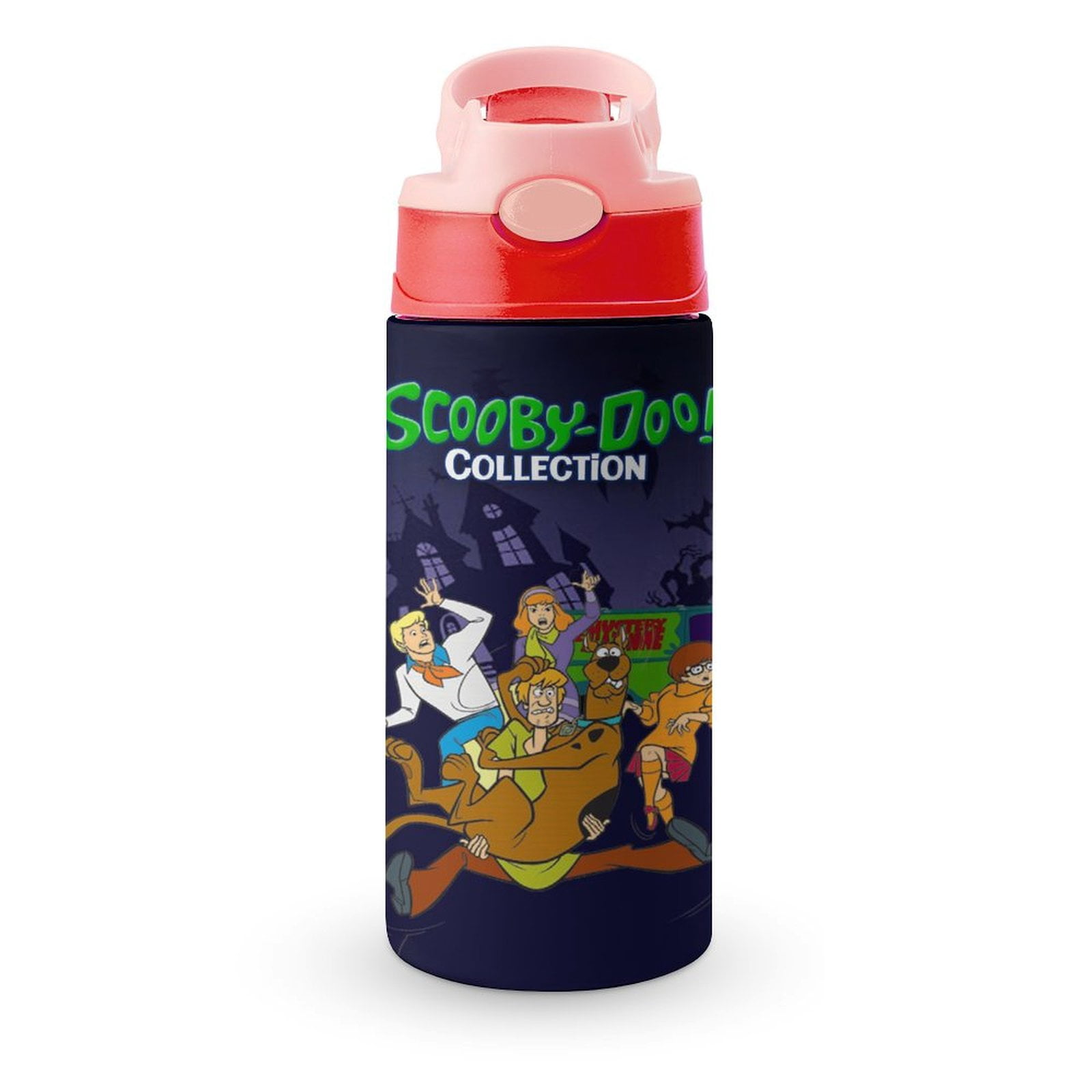 Scooby Doo Kids Water Bottle with Straw Lid Insulated Stainless Steel ...