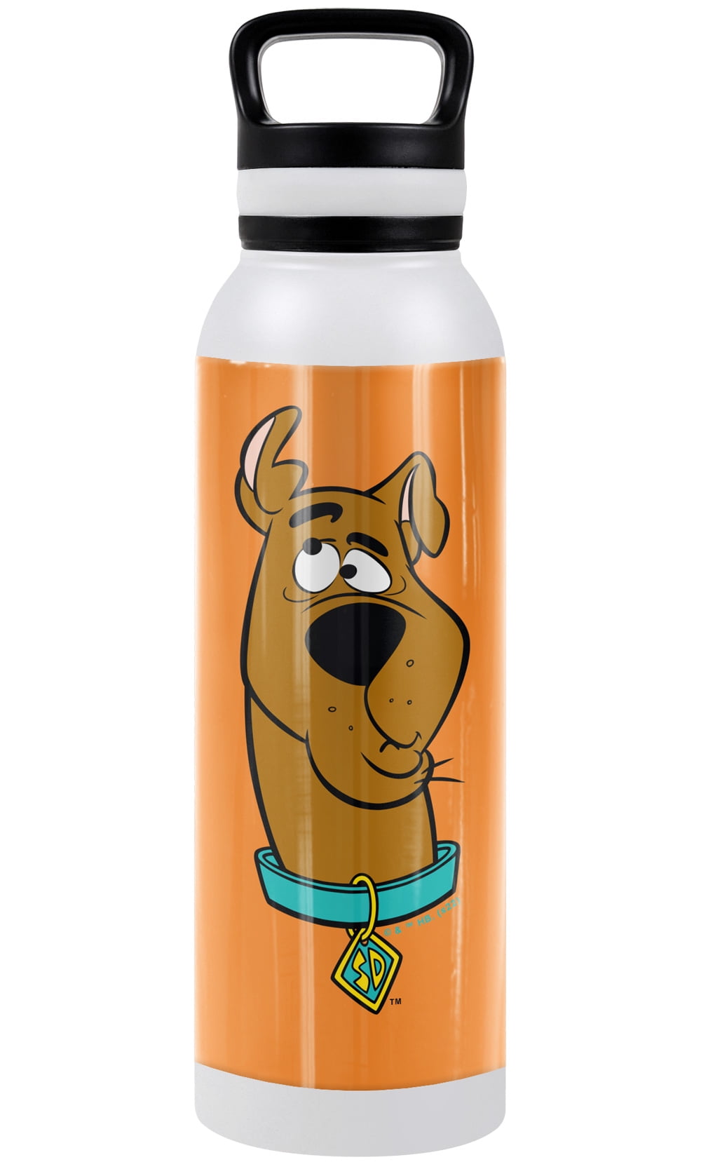 Scooby Doo! Official Confused 24 oz Insulated Canteen Water Bottle ...