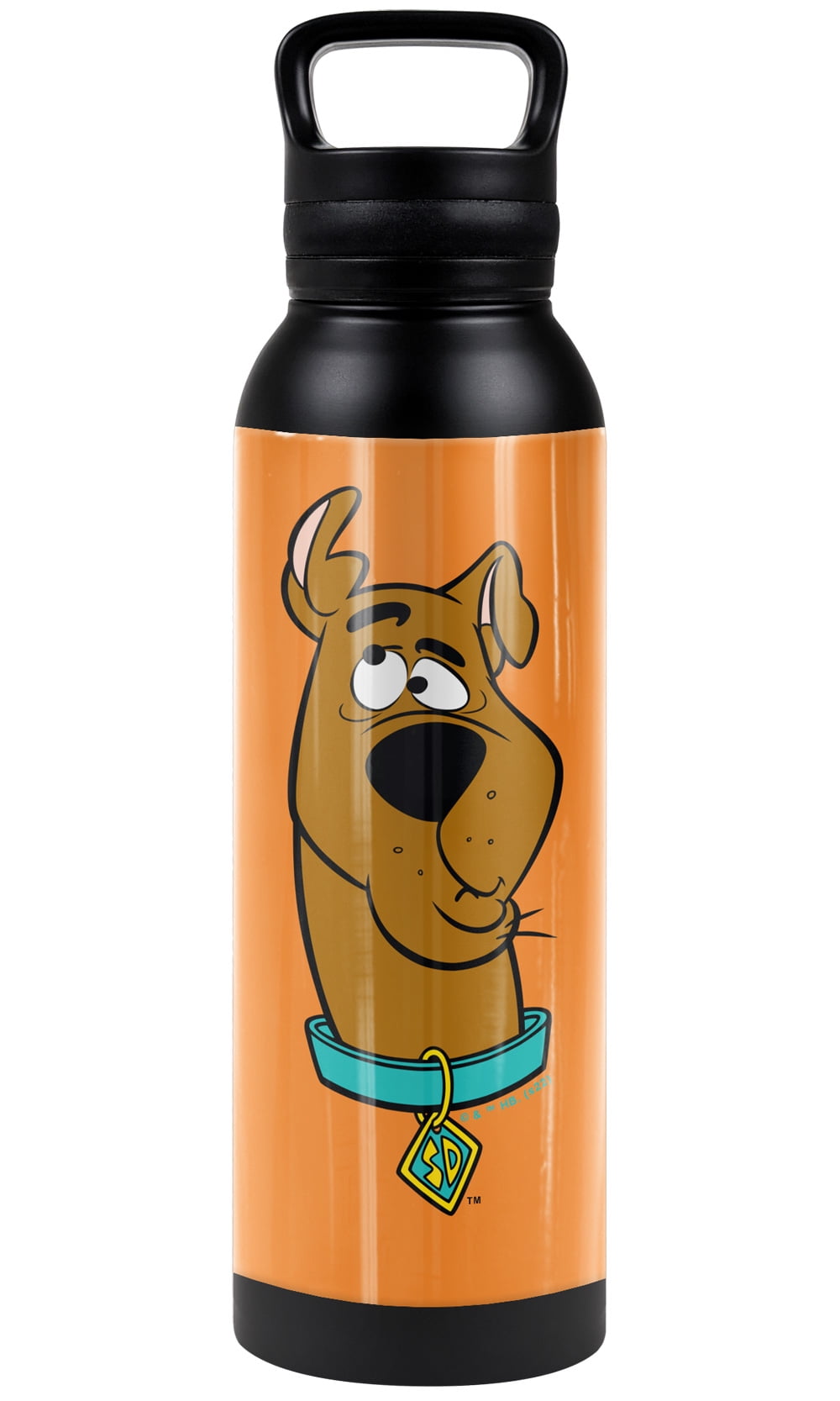 Scooby Doo! Official Confused 24 oz Insulated Canteen Water Bottle ...
