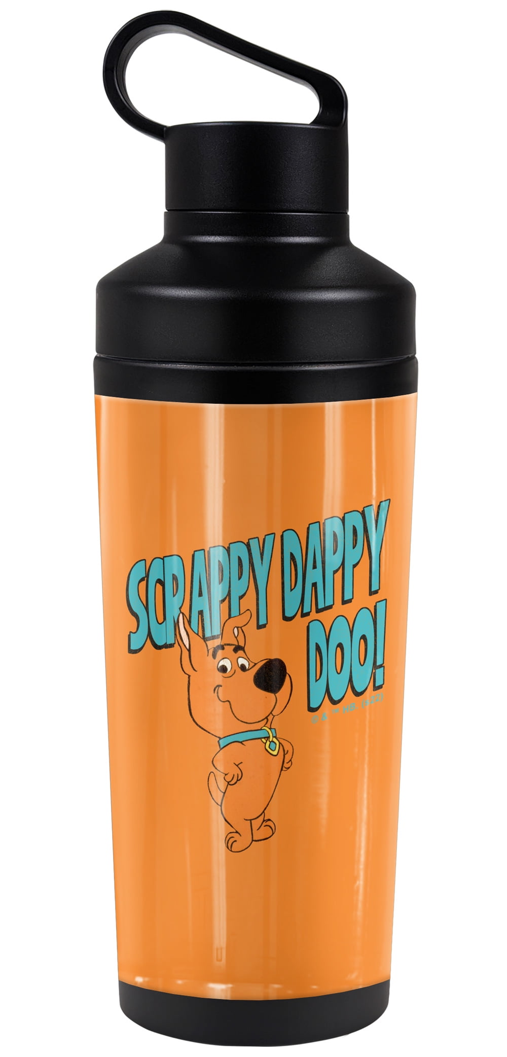 Scooby Doo! Official Scrappy Doo 18 oz Insulated Water Bottle, Leak ...