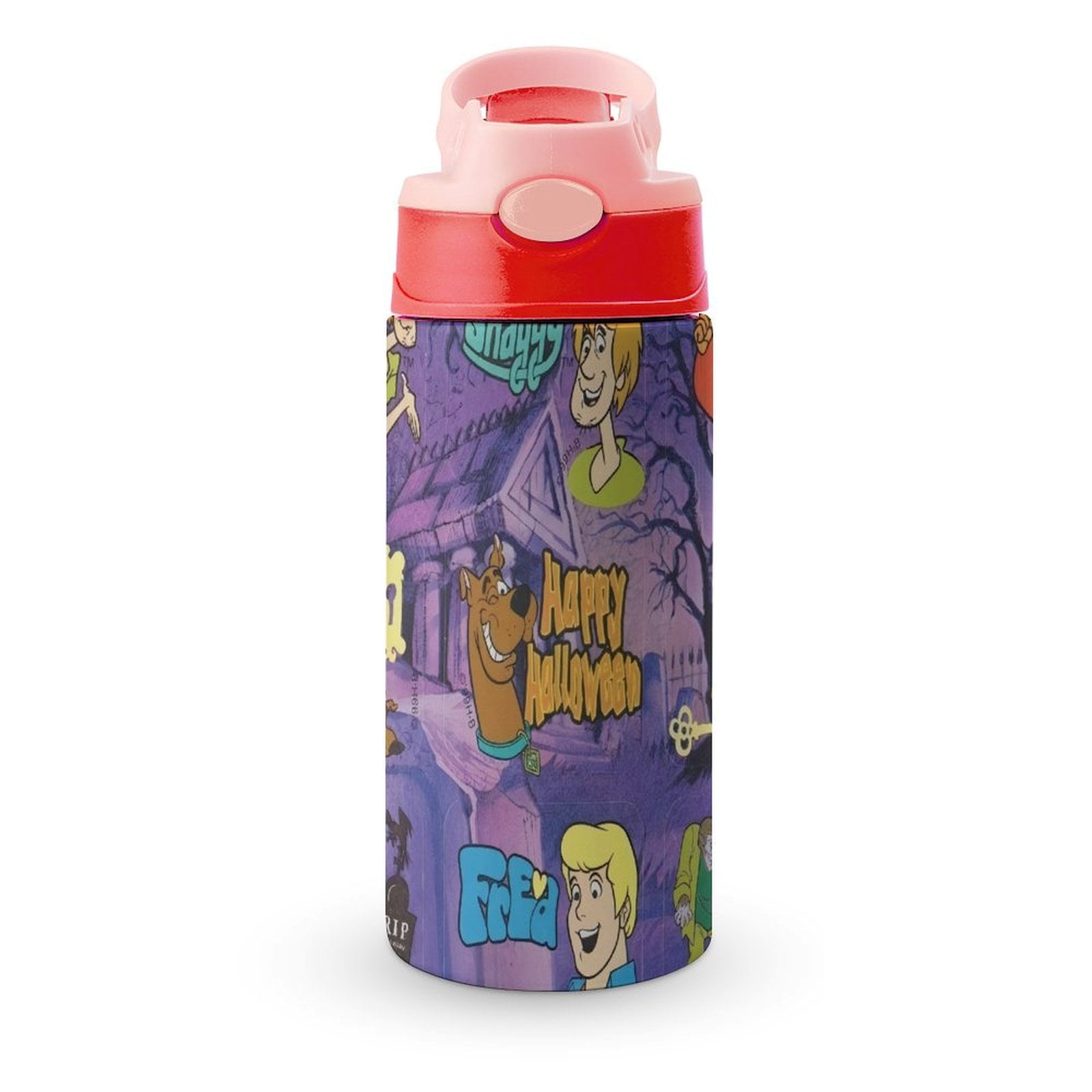 Scooby Doo kids stainless steel water cup with straw 350ml - Walmart.com