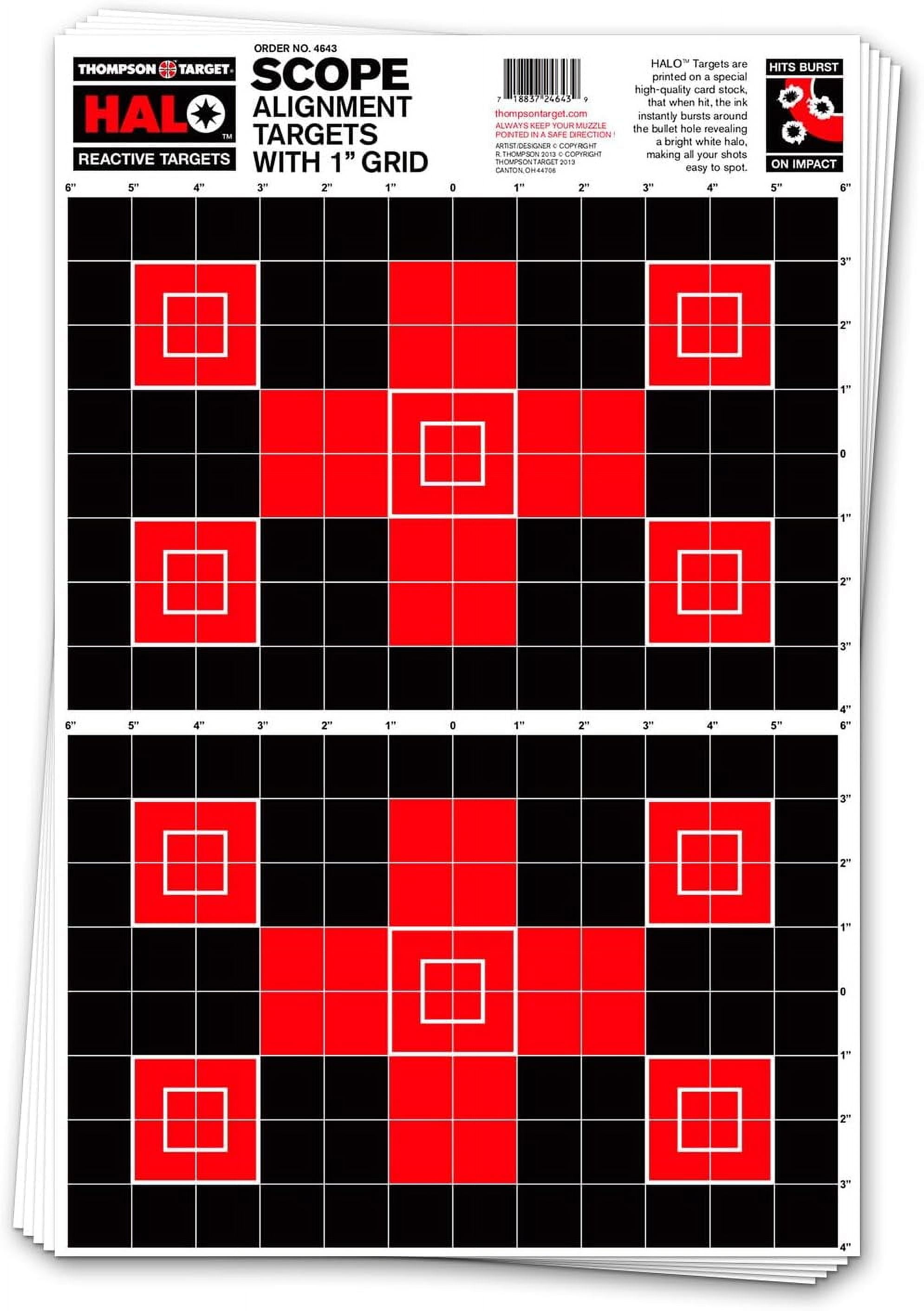 Scope - High Visibility Reactive Splatter 12.5x19 Inch Shooting Targets ...