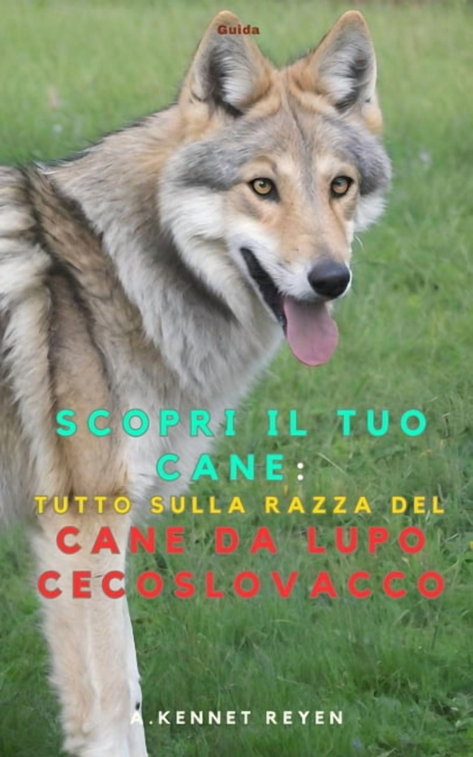 Scopri il tuo Cane: Tutto sulla razza Cane da Lupo Cecoslovacco ...