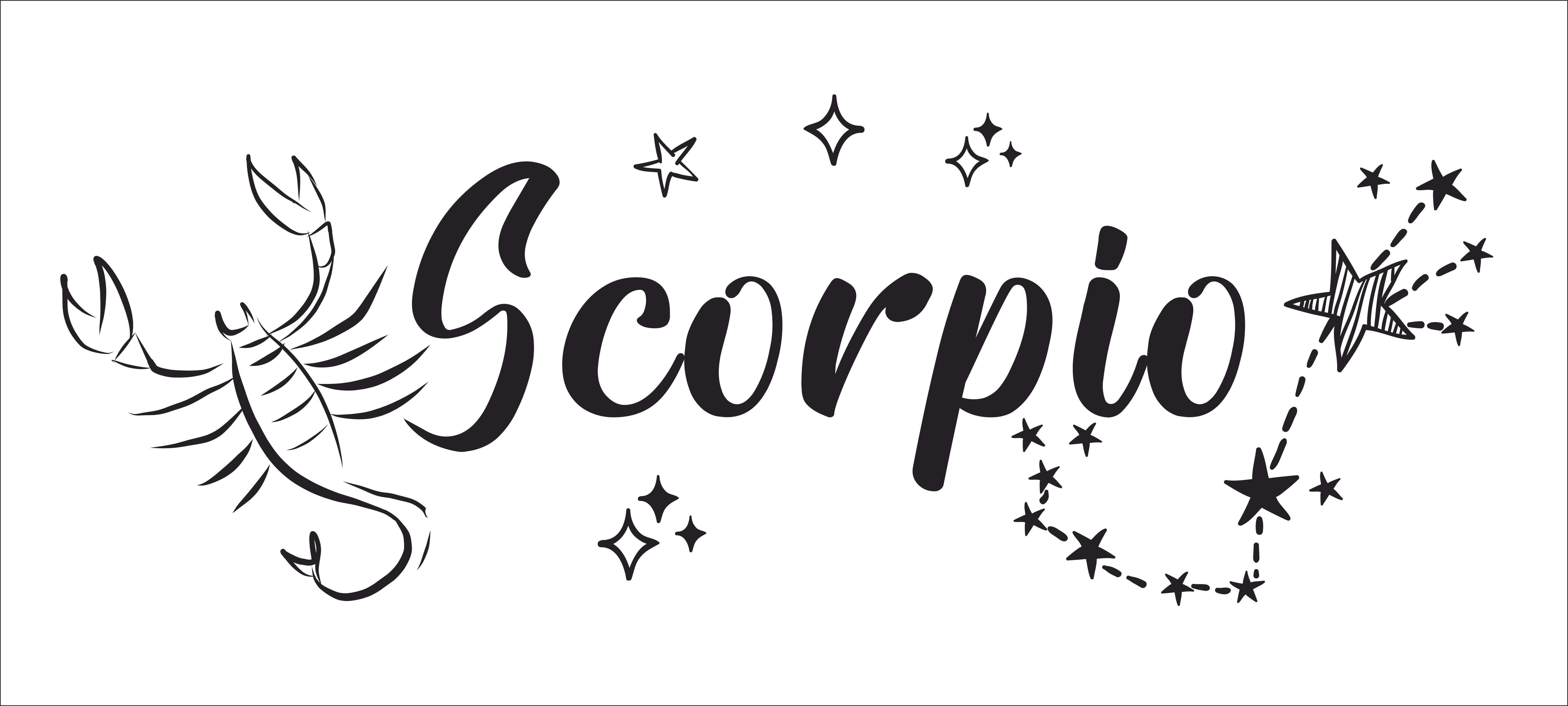Scorpio the Scorpion with Zodiac Symbol Artwork for Living Room Vinyl ...