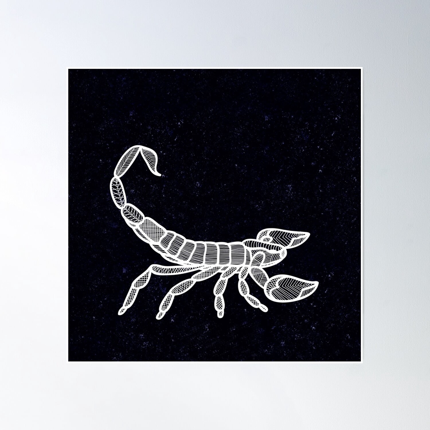 Scorpio Sting Poster Wall Art, Modern Wall Decor, 24x24 UNFRAMED ...
