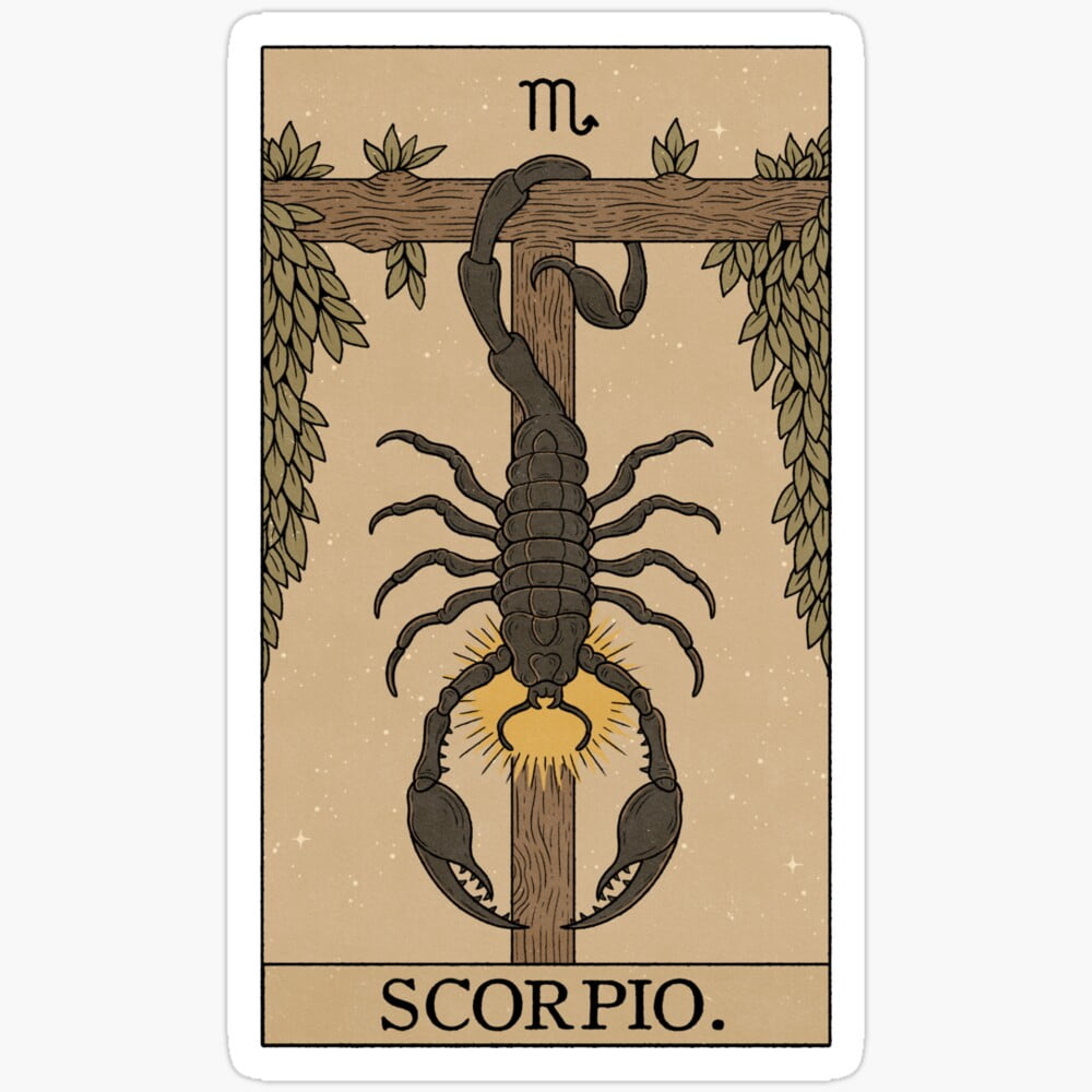 Scorpio - Tarot Card Sticker Phone Decal Water Bottle Stickers Car ...