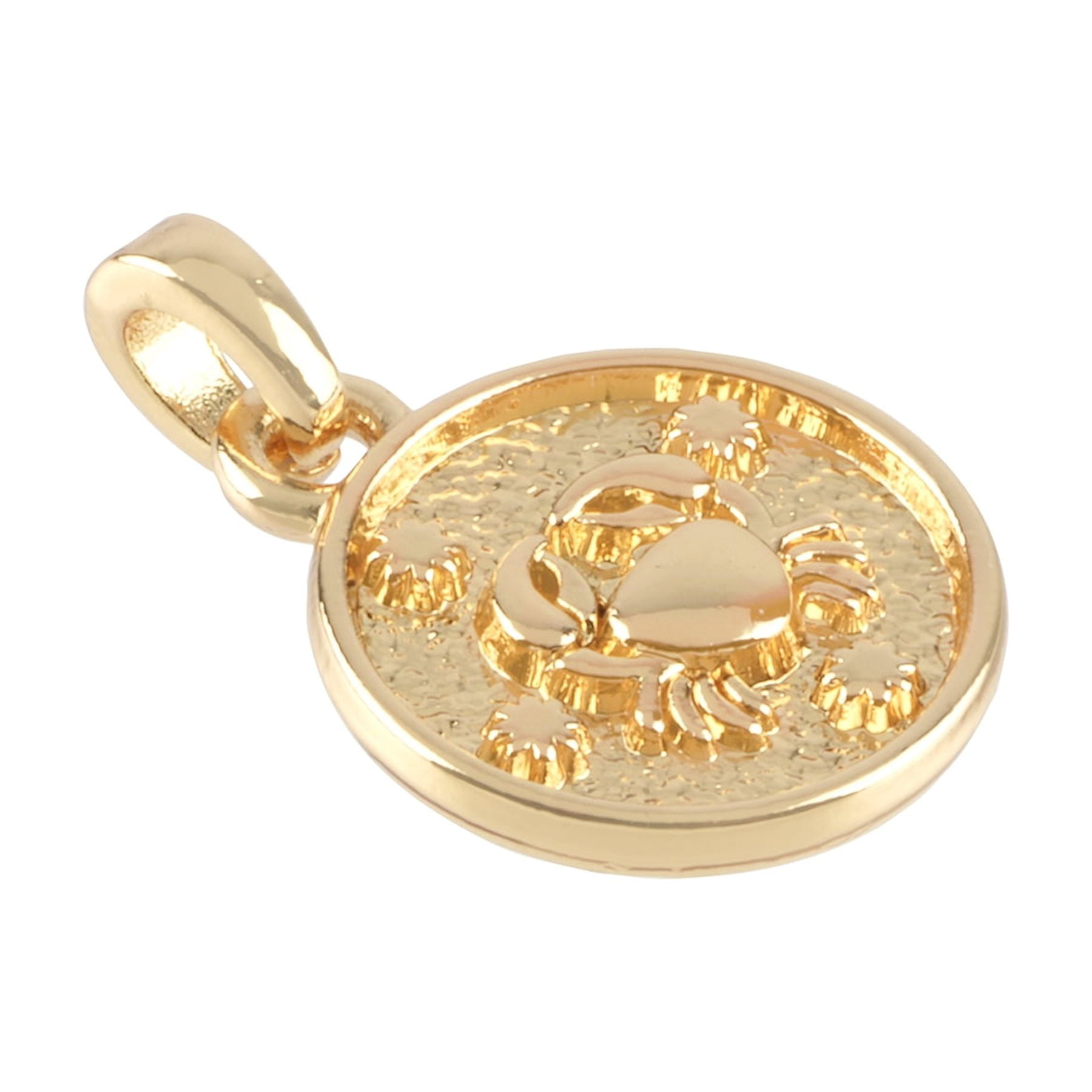 Bead Landing Scorpio Zodiac Coin Charms - 15mm Round Metal Charms with ...