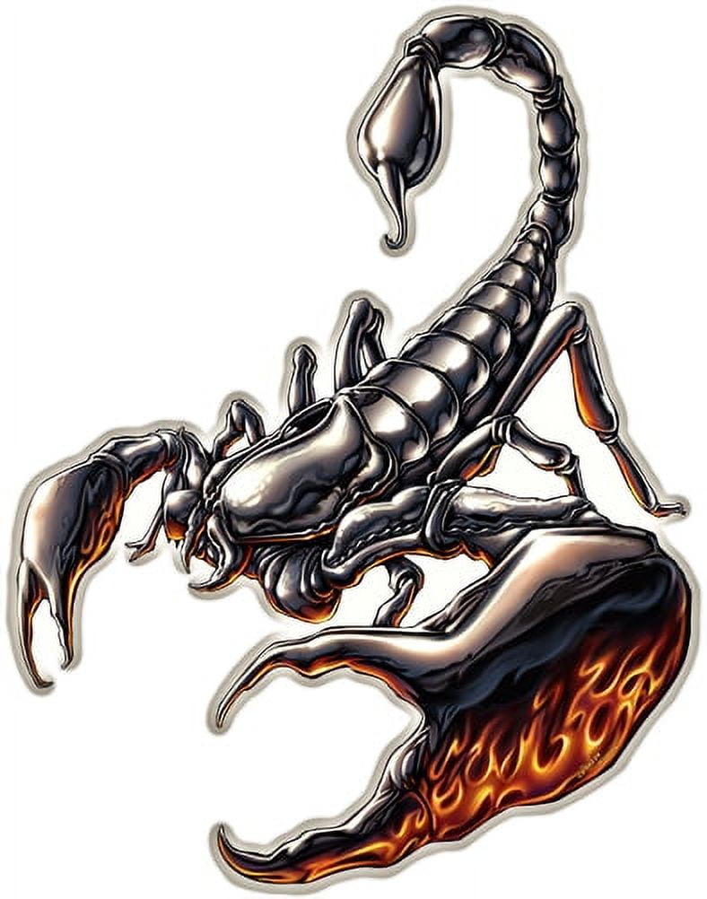 Scorpion [3 Pack] of Vinyl Decal Stickers | 5" | Indoor/Outdoor | Funny ...