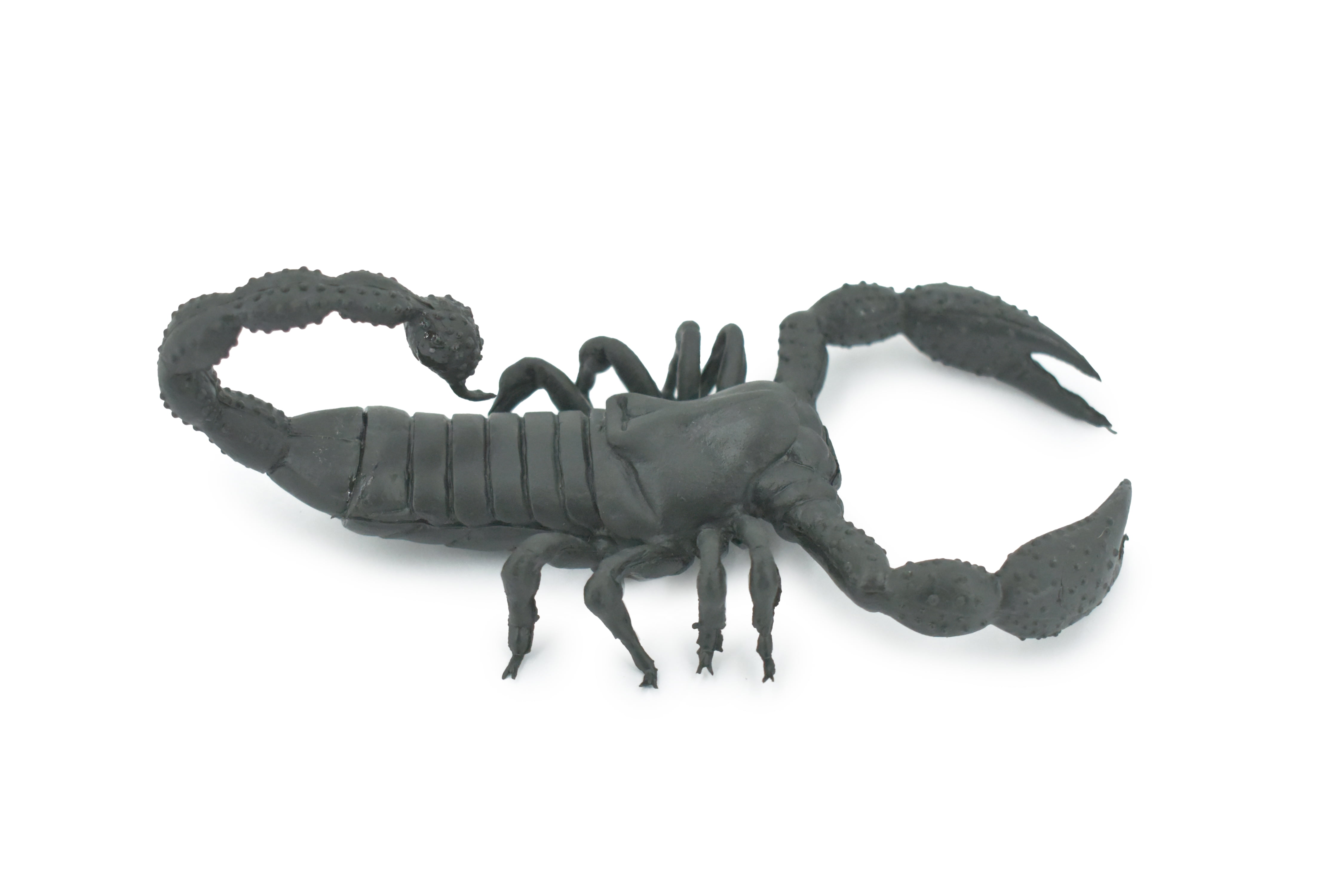 Scorpion, Black, Solid Rubber, Arachnids, Realistic, Figure, Model ...