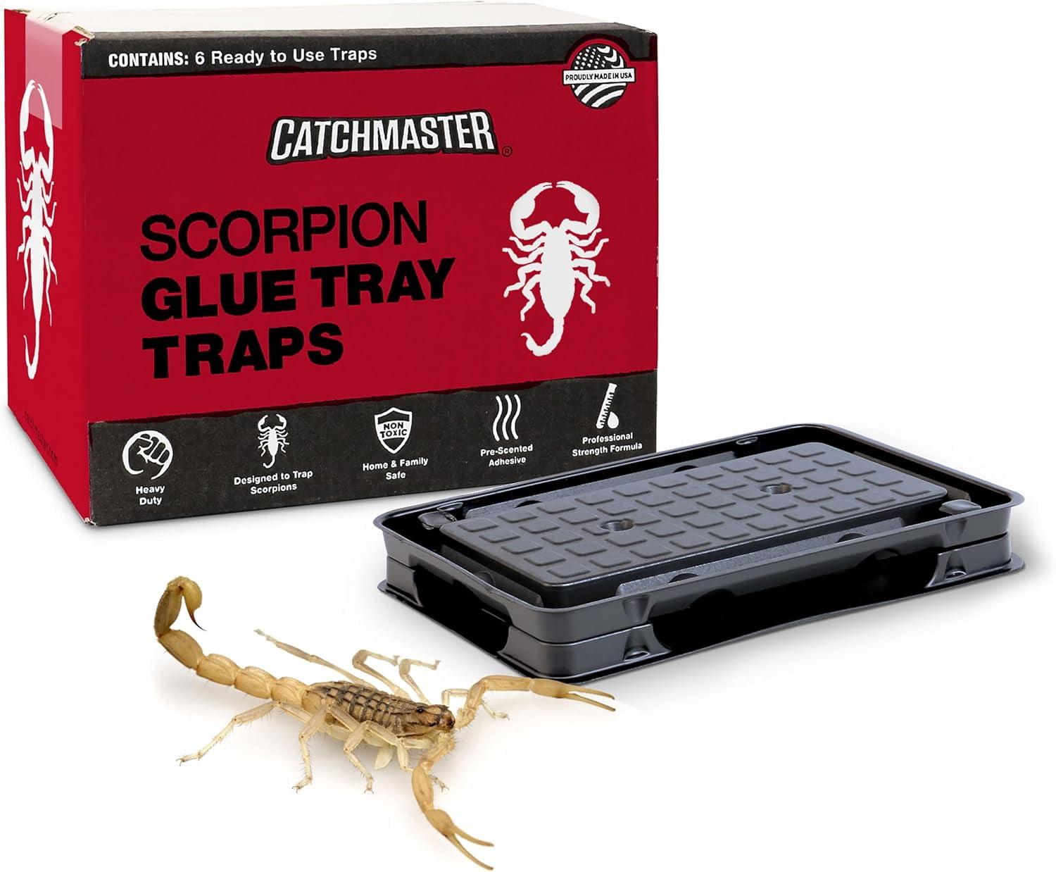 Scorpion Glue Tray Traps 6-Pack, Adhesive Scorpion Killer for Home ...